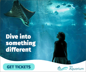 How To Use GIFs To Create Amazing DOOH Ads